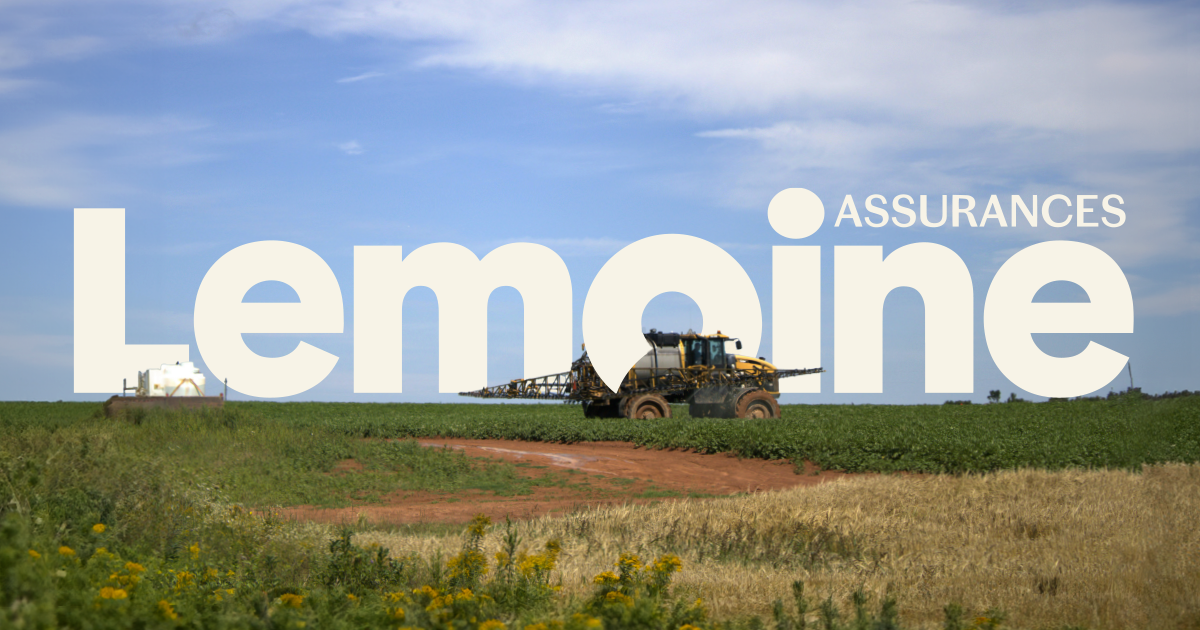 Lemoine Assurances : Votre partenaire protection, particuliers et ...